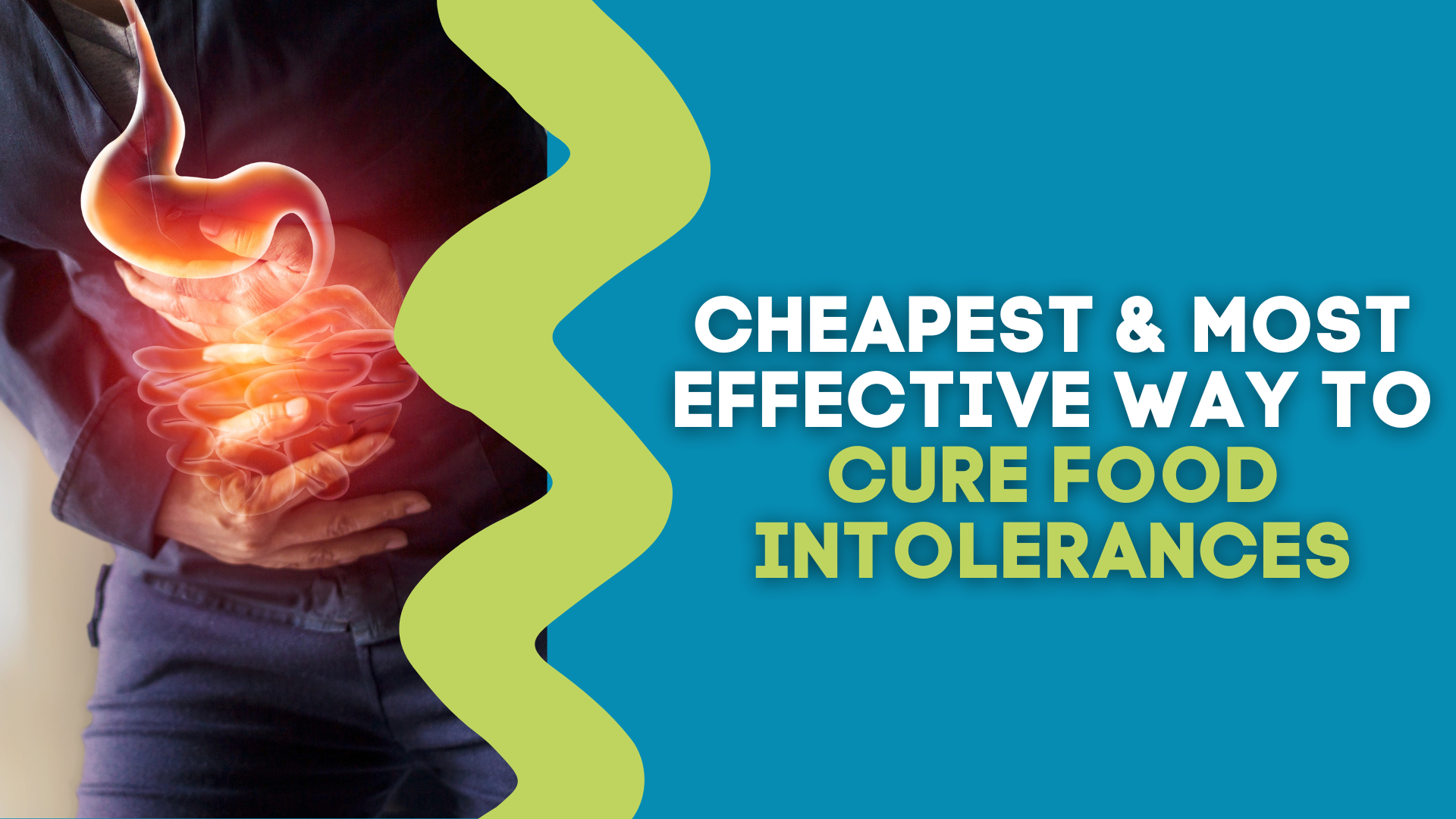 CHEAPEST & MOST EFFECTIVE WAY TO CURE FOOD INTOLERANCES – The Gut ...