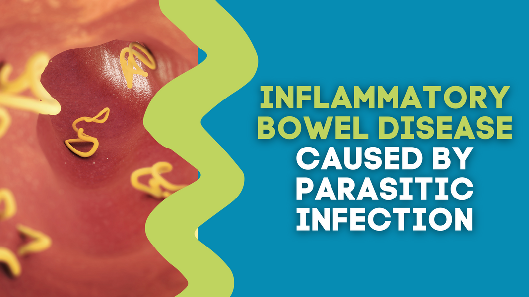 INFLAMMATORY BOWEL DISEASE CAUSED BY PARASITIC INFECTION – The Gut ...