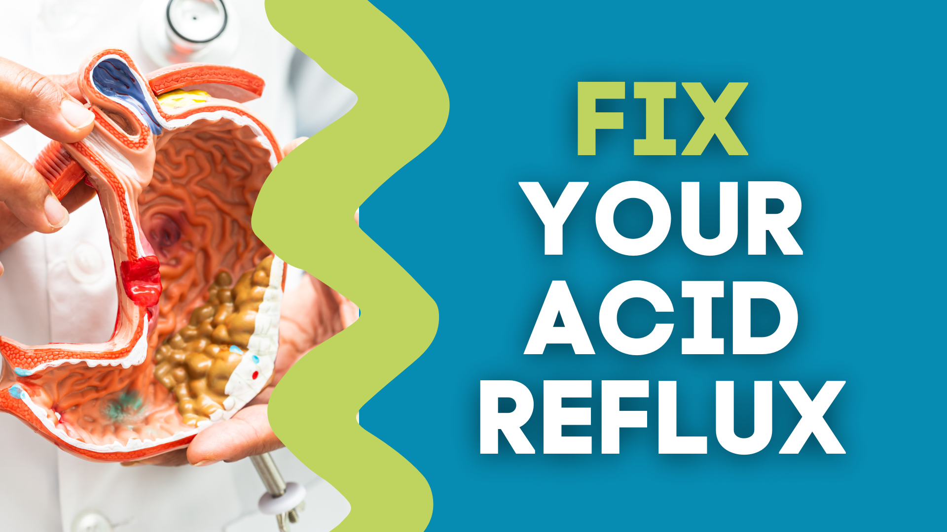 FIX YOUR ACID REFLUX – The Gut Health Hub